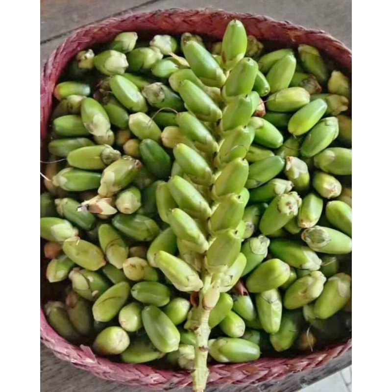 Jual Buah druju/jeruju 1 kg | Shopee Indonesia