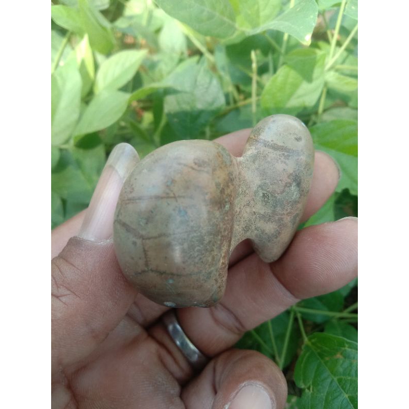 Jual telor ikan membatu berurat alami | Shopee Indonesia