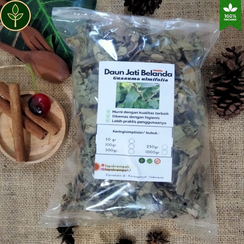 Jual DAUN JATI BELANDA/Guazuma ulmifolia | Shopee Indonesia