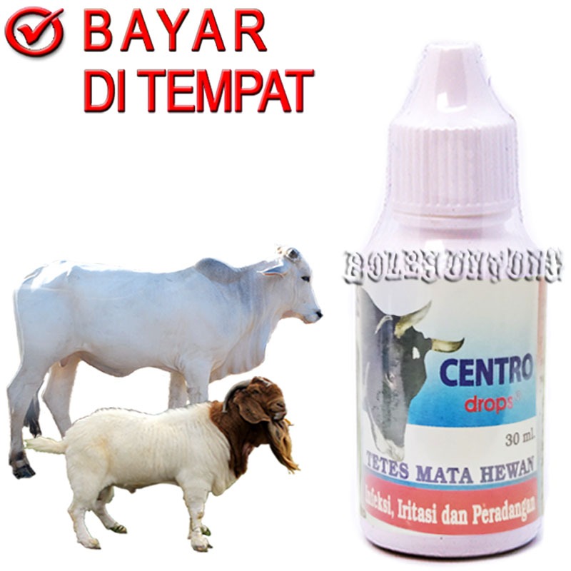 Jual CENTRO Obat Tetes Mata Sapi Kambing Sakit Infeksi Bengkak Merah ...