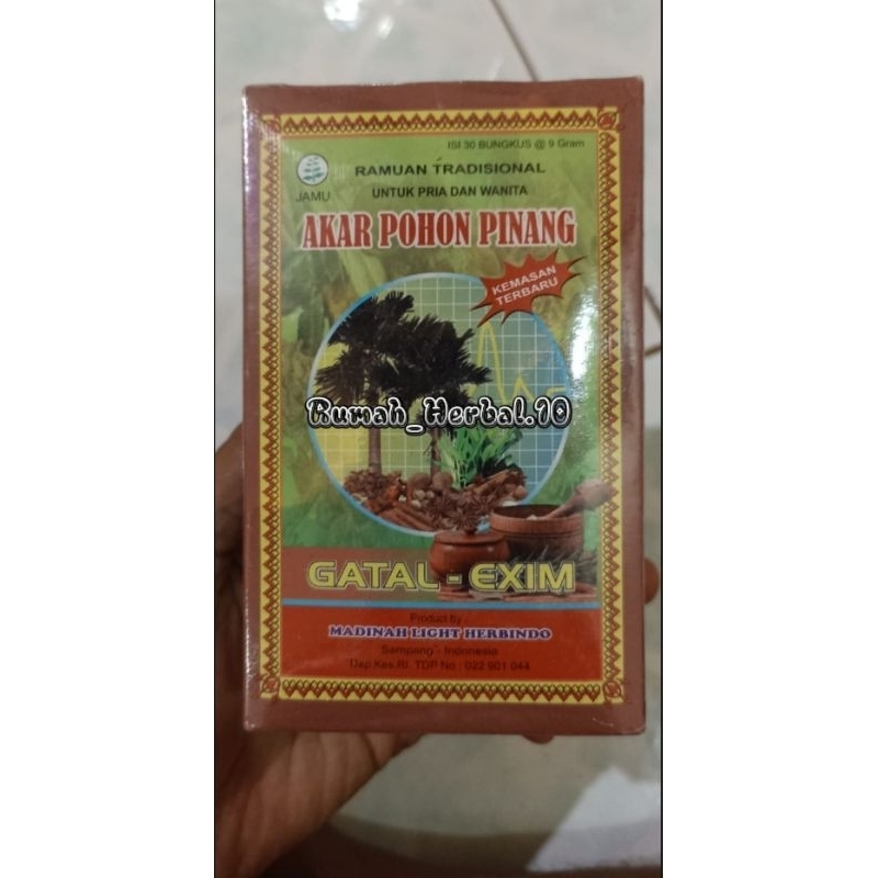 Jual AKAR POHON PINANG GATAL-GATAL EXIM ORIGINAL | Shopee Indonesia