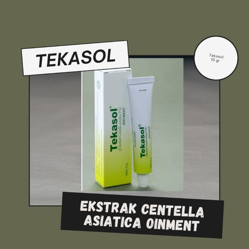 Jual Tekasol Oinment Obat Luka dan Keloid 10gr | Shopee Indonesia