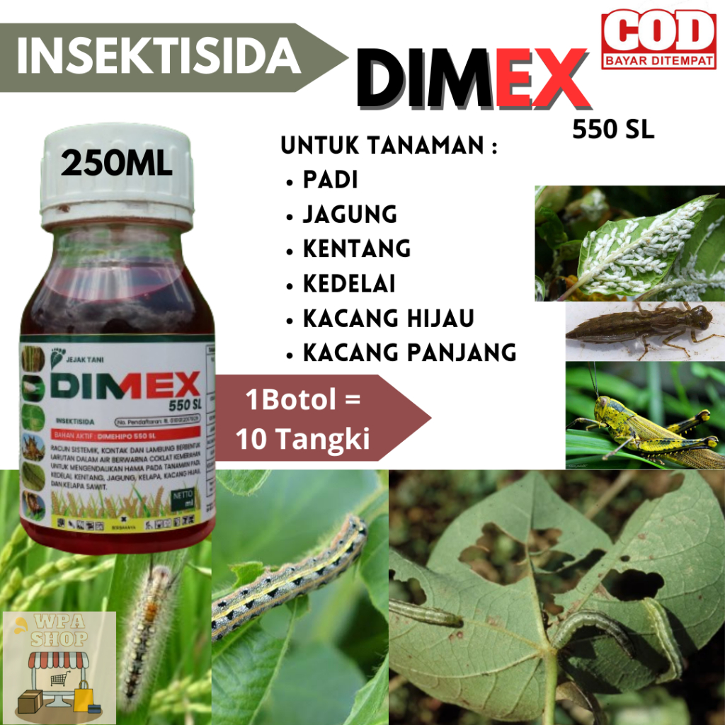 Jual DIMEX INSEKTISIDA INSEKTISIDA BASMI HAMA PUTIH WERENG BELALANG DAN KUTU LAINNYA 300ML ...