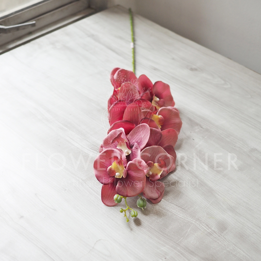 Jual Bunga Artificial Anggrek Bulan Kain Bold Color (B23196) | Shopee ...