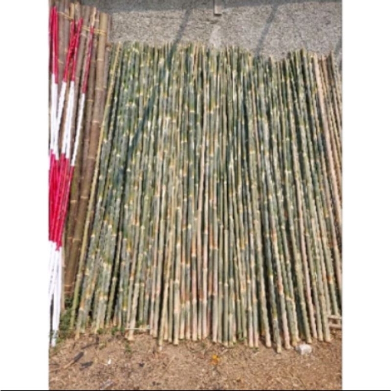 Jual bambu apus tiang bendera | Shopee Indonesia