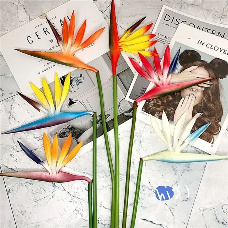 Jual B047 Bunga Bentuk Burung Cenderawasih Cendrawasih Latex Lateks ...