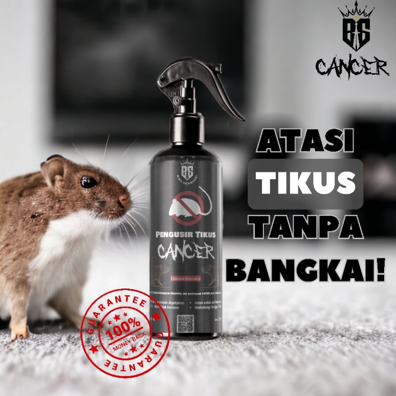 Jual Semprotan Pengusir Tikus Alami Paling Ampuh Obat Anti Tikus Cancer | Shopee Indonesia