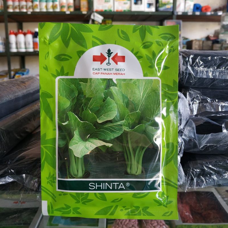 Jual Benih Bibit Caisim Sawi Shinta. Hijau (Tidak Pahit, Daun segar ...