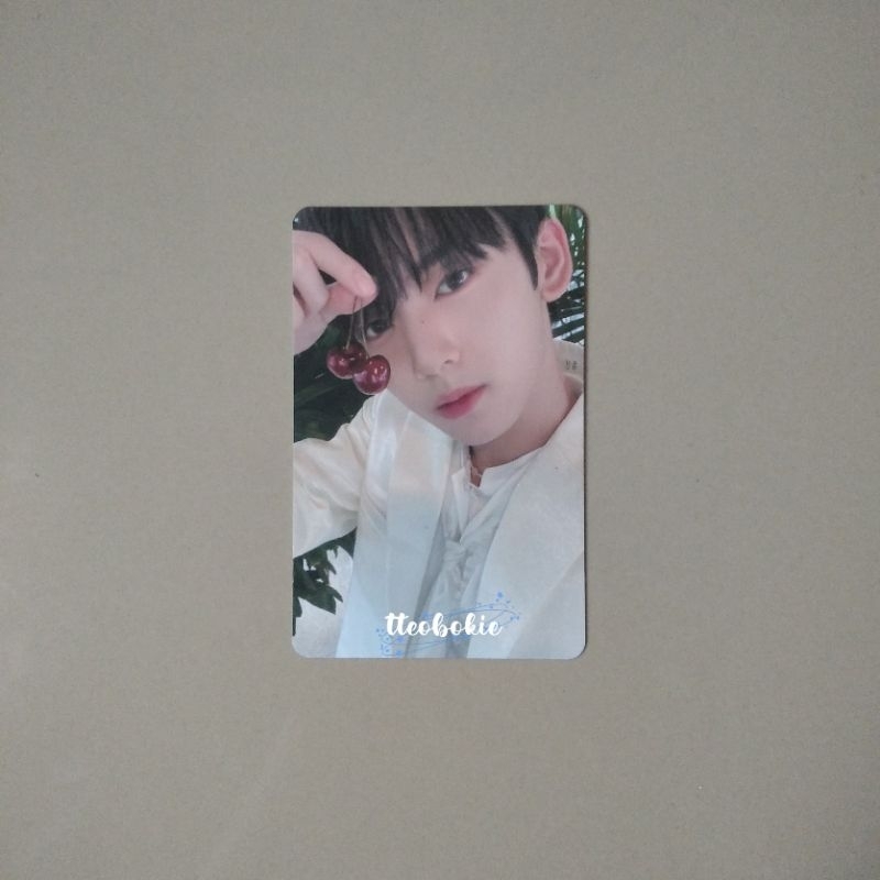 Jual [READY] Trading Card MD Fancon Yujin Cherry | Shopee Indonesia
