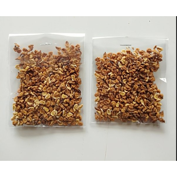 Jual Biji Benih Kecubung Wulung Kering/Dried Kecubung Wulung Seeds ... Jual Biji Benih Kecubung Wulung Kering/Dried Kecubung Wulung Seeds ...