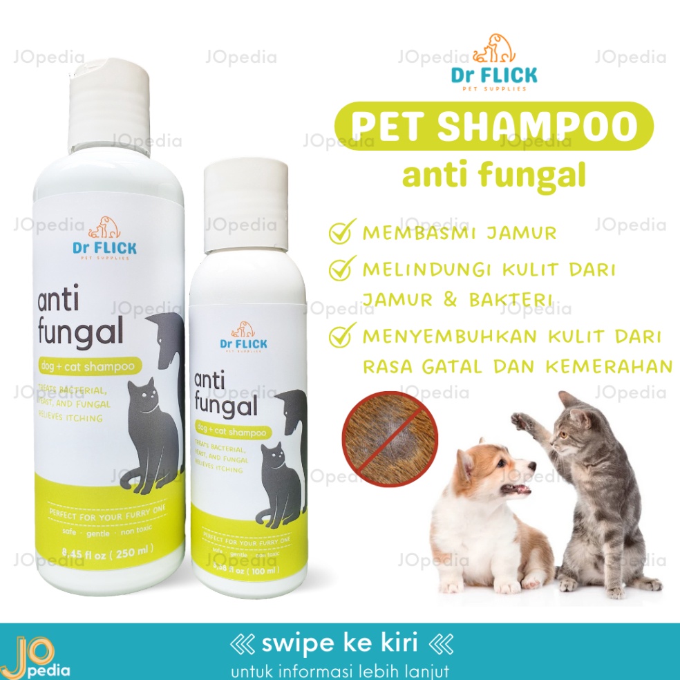 Jual ORIGINAL DR FLICK Shampoo Anti Fungal | Shopee Indonesia
