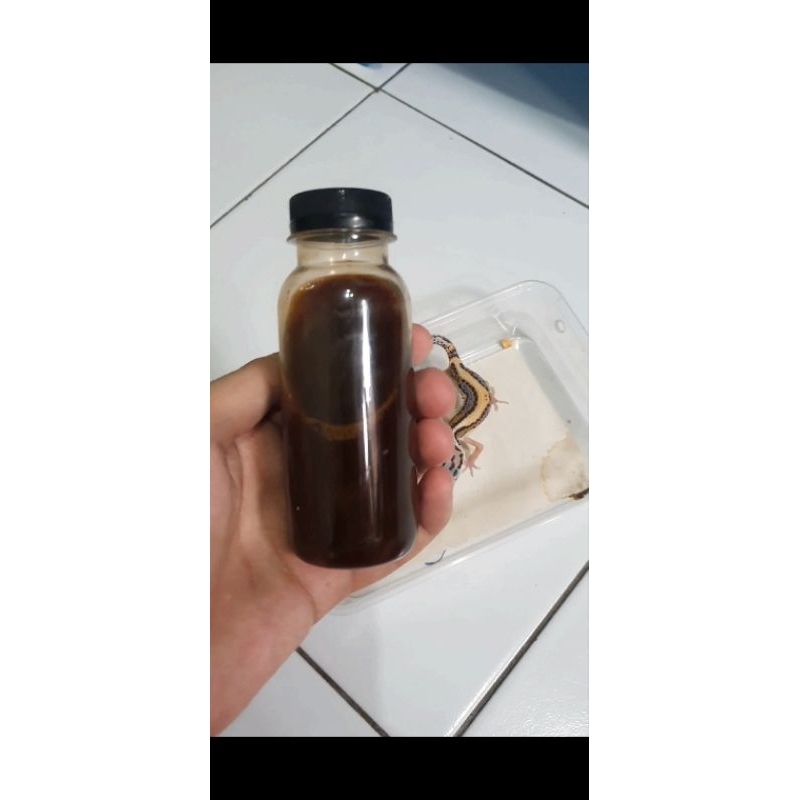 Jual Obat Gecko Racikan (Pencernaan, mogok makan, kotoran menyengat ...