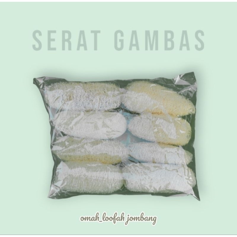 Jual Loofah spons alami serat gambas / emes mini / labu oyong kering ...