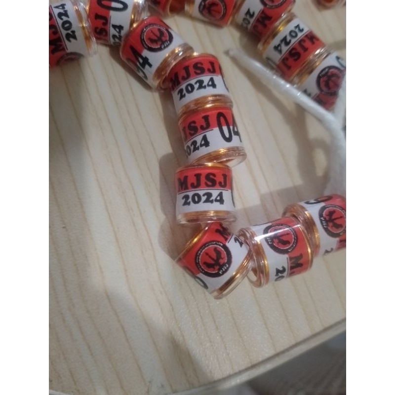 Jual Ring MERPATI Jawa Sungut Jabodetabek 2024 | Shopee Indonesia