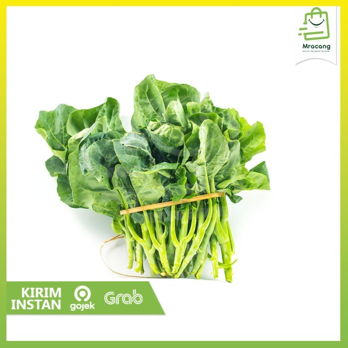 Jual Baby Kailan Pack - Berat 250gr | Shopee Indonesia