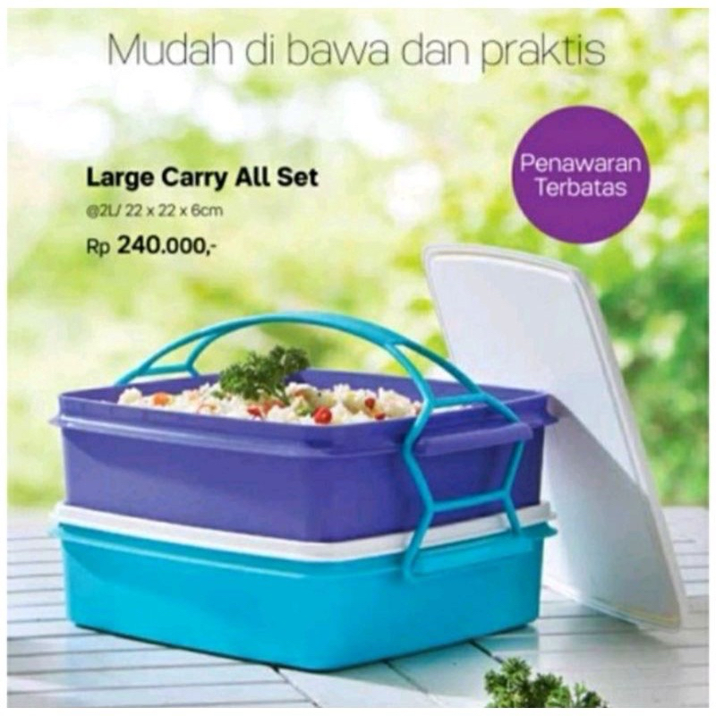 Jual Large Carry all set tupperware | Shopee Indonesia