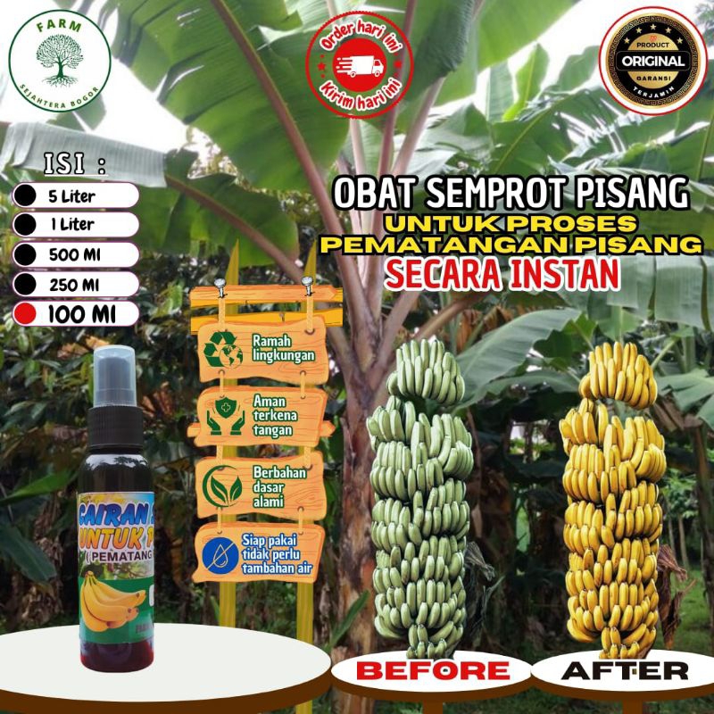 Jual OBAT SEMPROT PEMATANG PISANG DAN BUAH BUAHAN,MANGGA,ALPUKET DLL ...