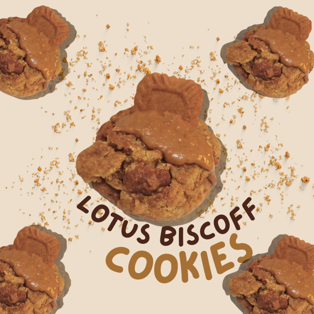 Jual LOTUS BISCOFF|SOFT COOKIES|TIMMY TUMMY|PREMIUM COOKIES | Shopee ...