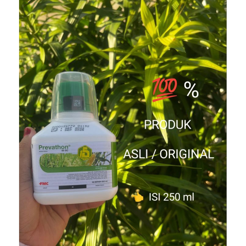 Jual INSEKTISIDA PREVATON 50 sc 250 ml | Shopee Indonesia