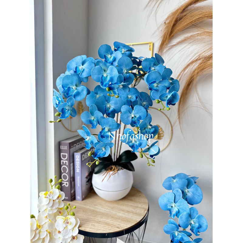 Jual BUNGA ANGGREK BIRU PREMIUM CAB 5 jumbo Vas bola | Shopee Indonesia