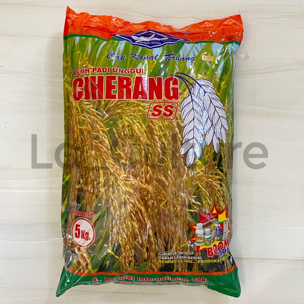 Jual Benih Padi Unggul CIHERANG SS 5 Kg Benih BISI Cap Kapal Terbang | Shopee Indonesia