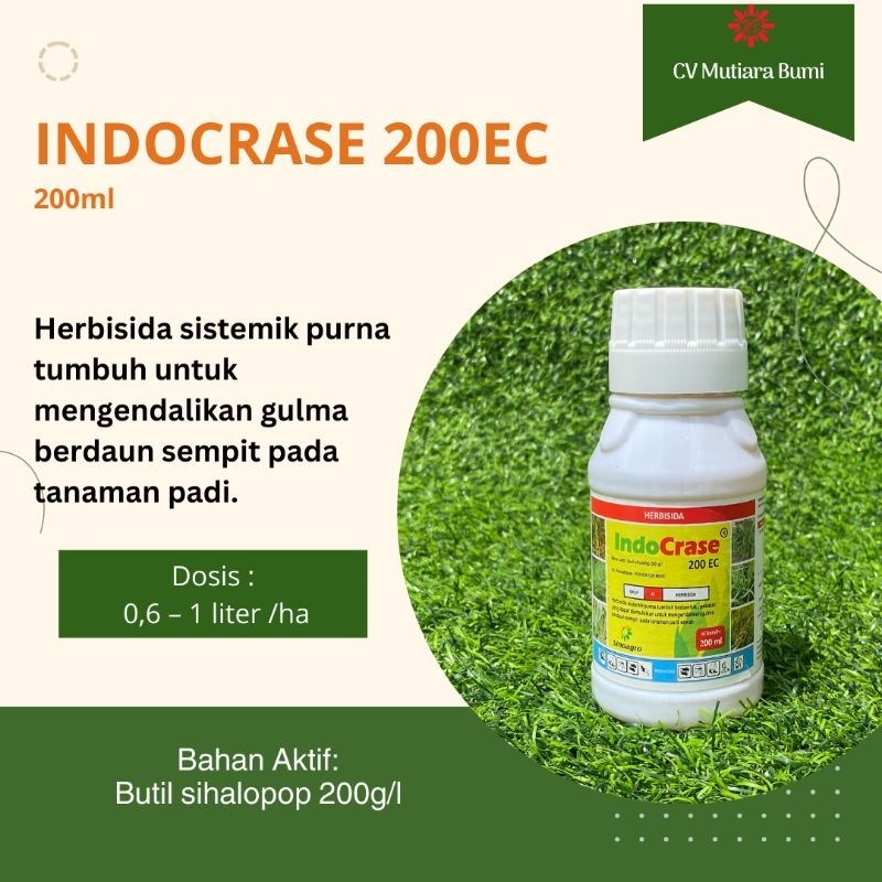 Jual HERBISIDA | INDOCRASE 200ml | OBAT RUMPUT BERDAUN SEMPIT PADA ...