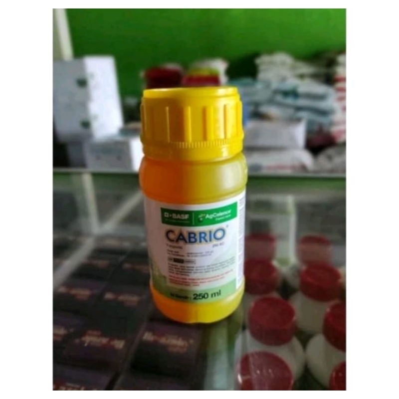 Jual Cabrio 250ec 250ml | Shopee Indonesia