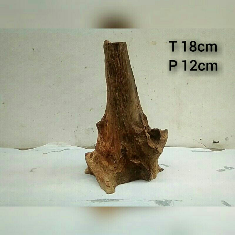 Jual Potongan kayu rentek | Shopee Indonesia