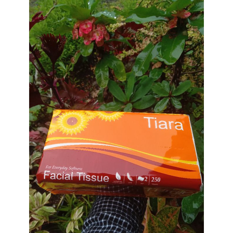 Jual Tissue Tiara 250 lembar tisu | Shopee Indonesia