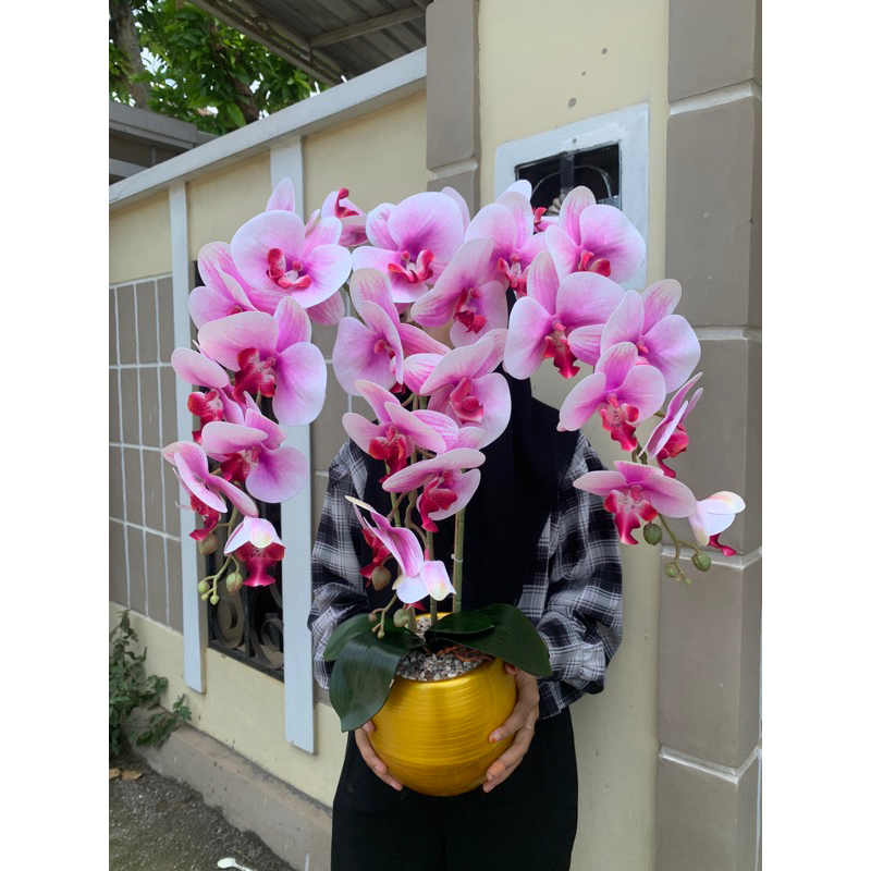 Jual ANGGREK LATEK JUMBO 3 CABANG / VAS BUNGA AESTHETIC/ RANGKAIAN ...
