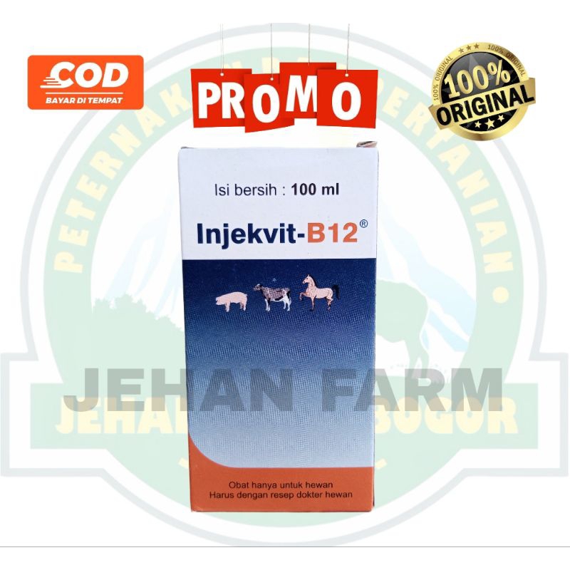 Jual INJEKVIT B12 100 ml MEDION Obat B12 Untuk Perbaiki Kondisi Tubuh ...
