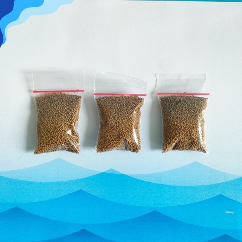Jual Pakan ikan paling kecil mikro micro makanan ikan pelet neon ...