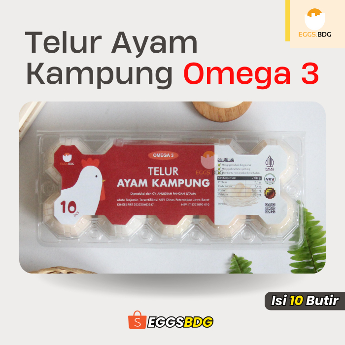 Jual Telur Ayam Kampung Omega 3 isi 10 Pcs | Shopee Indonesia