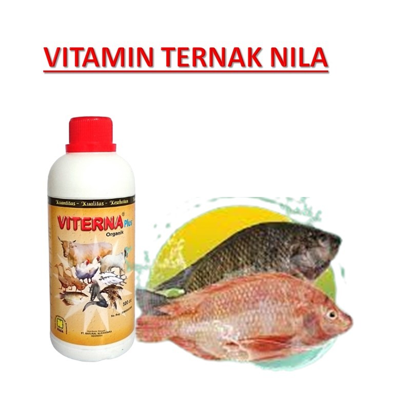 Jual vitamin nila / vitamin ikan / vitamin ikan sehat / vitamin ikan besar / vitamin ikan cepat ...