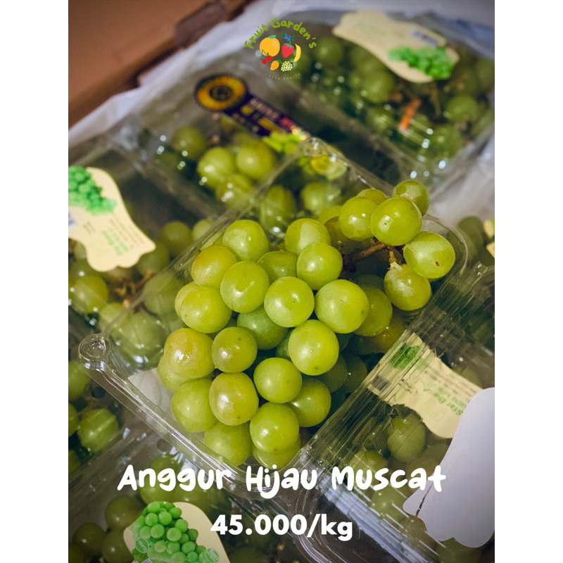 Jual Anggur Hijau Muscat (500gram) | Shopee Indonesia