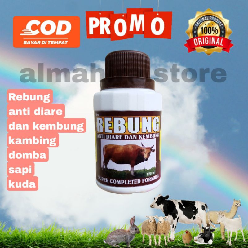 Jual Rebung sapi 120 ml obat diare dan kembung sapi kambing domba kuda ...