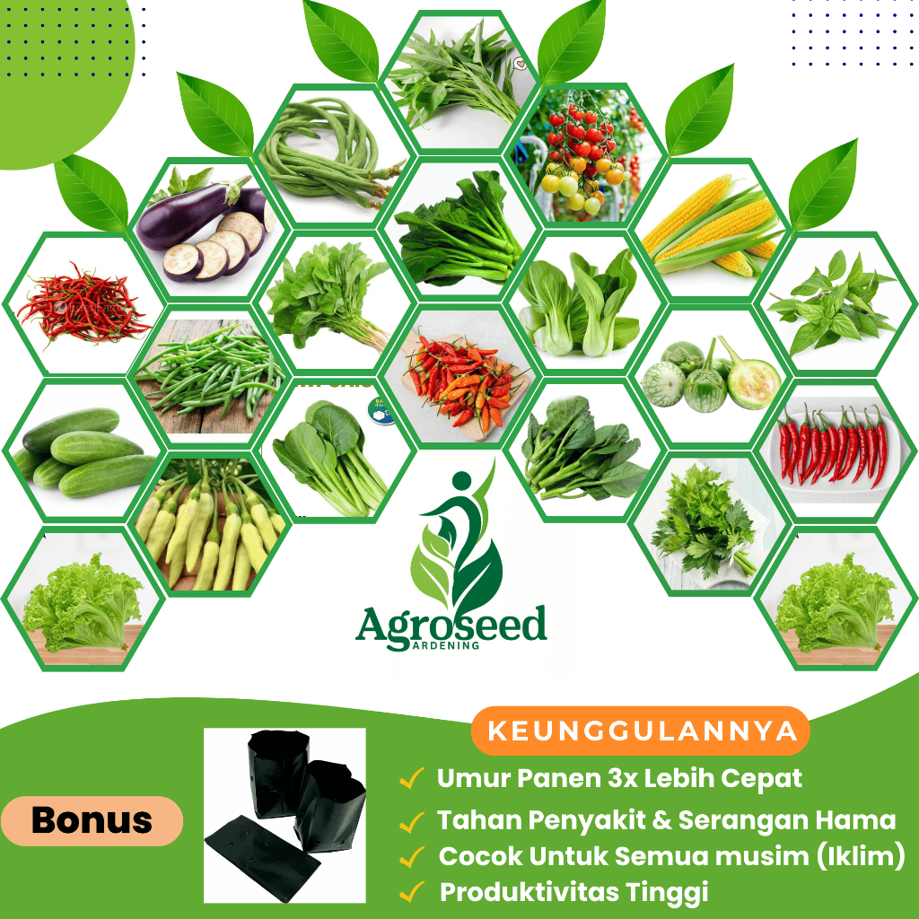 Jual 20 Jenis Benih Super Tanaman/Sayuran Lengkap Bibit Unggul Cepat ...