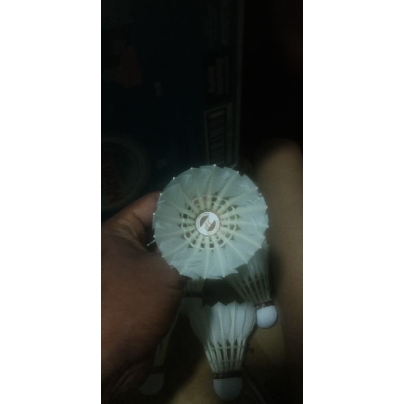 Jual kok/shuttlecock Bekas full merk jp gold kondisi 70% - 90% | Shopee ...