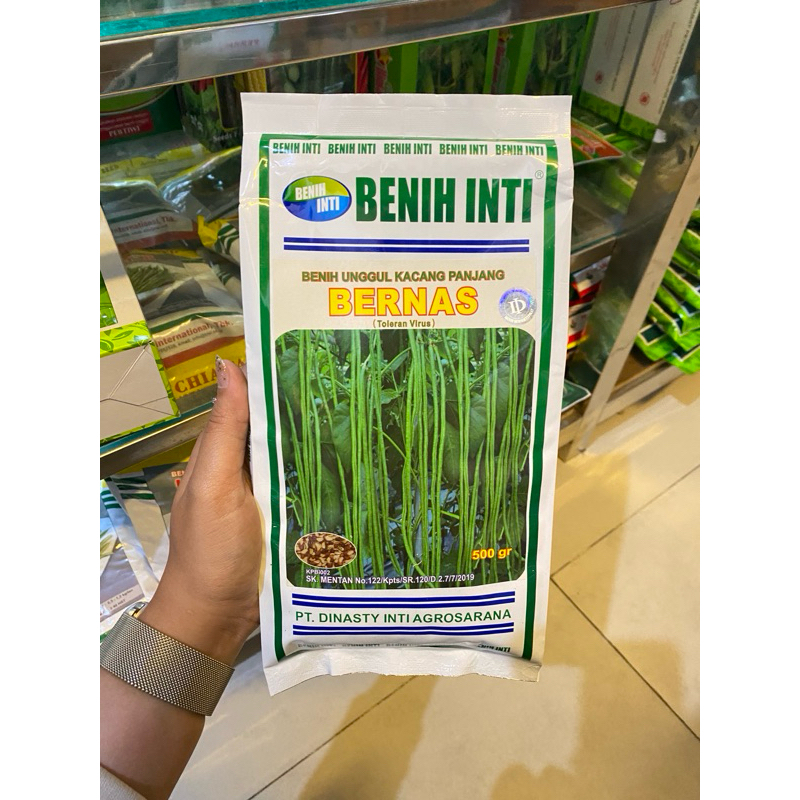 Jual Benih/Bibit Kacang Panjang Bernas Toleran Virus Benih Inti 500gr ...