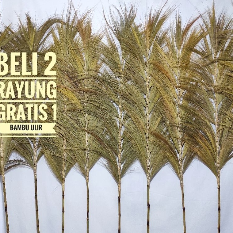 Jual Penawaran Terbatas Tindak Cepat Rayung Kering Rayung Panjang ...