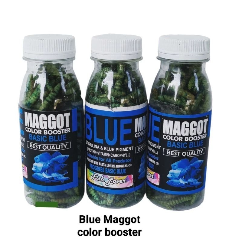 Jual Makanan ikan Fish Lover Maggot Blue BSF Color Booster Basic Blue ...