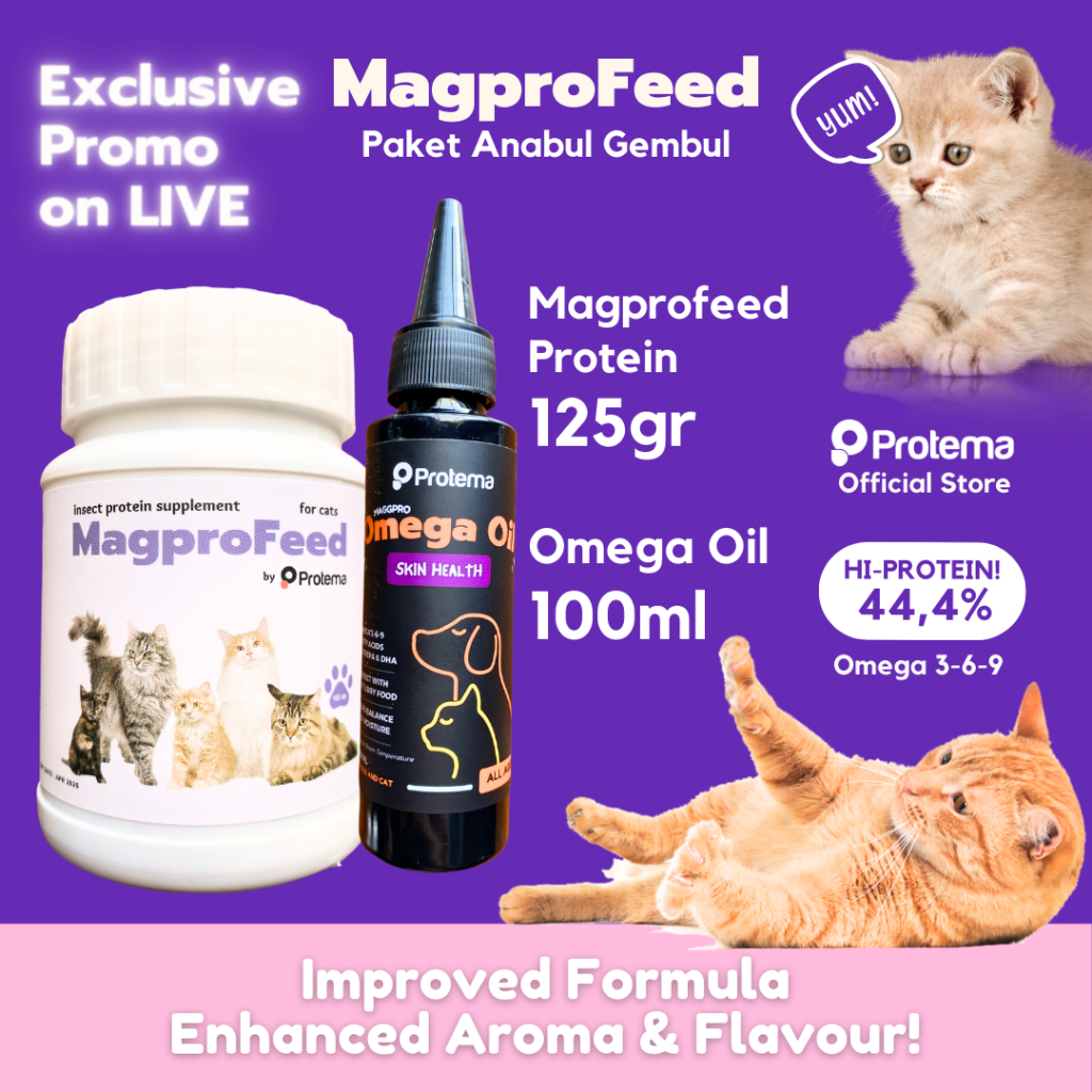 Jual PAKET WAJIB KUCING GEMBUL | MAGPROFEED VITAMIN KUCING 125GR ...