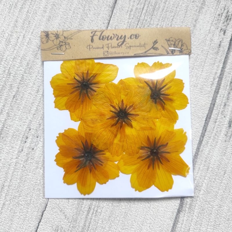 Jual 1 PACK pressed flower PART 1 bunga kering asli bahan diy craft ...