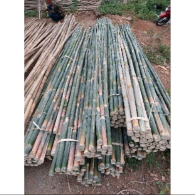Jual bambu tiang bendera umbul umbul baleho | Shopee Indonesia