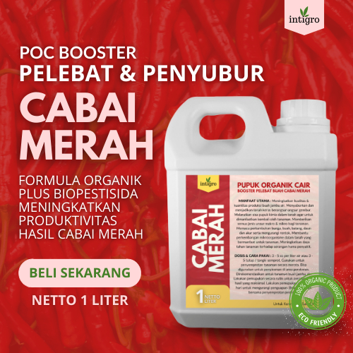 Jual Pupuk Cabe Merah / Pupuk Cabai Agar Berbuah lebat dan Anti Rontok / Pupuk Penyubur Tanaman ...