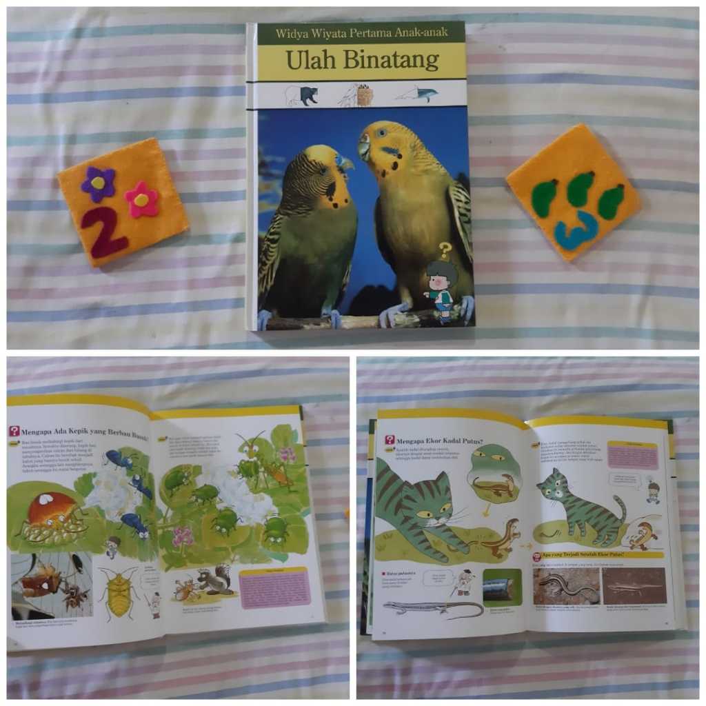 Jual Ulah Binatang Widya Wiyata Pertama Anak buku anak pengetahuan ...