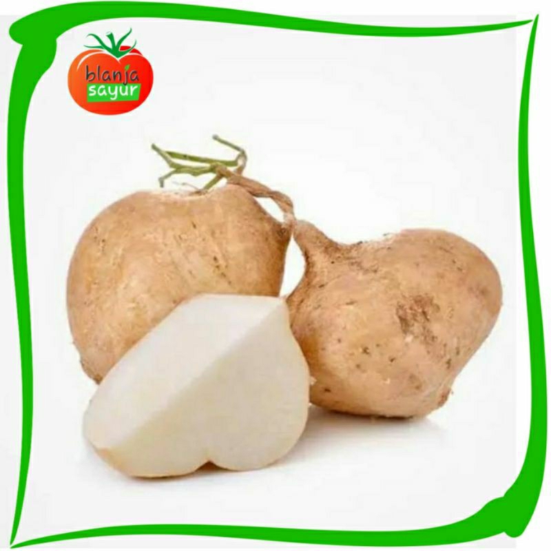 Jual Bengkuang / Bengkoang segar 1kg | Shopee Indonesia
