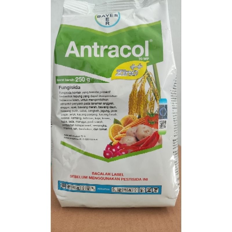 Jual BAYER - Fungisida Antracol 70 WP 250 gr | Shopee Indonesia