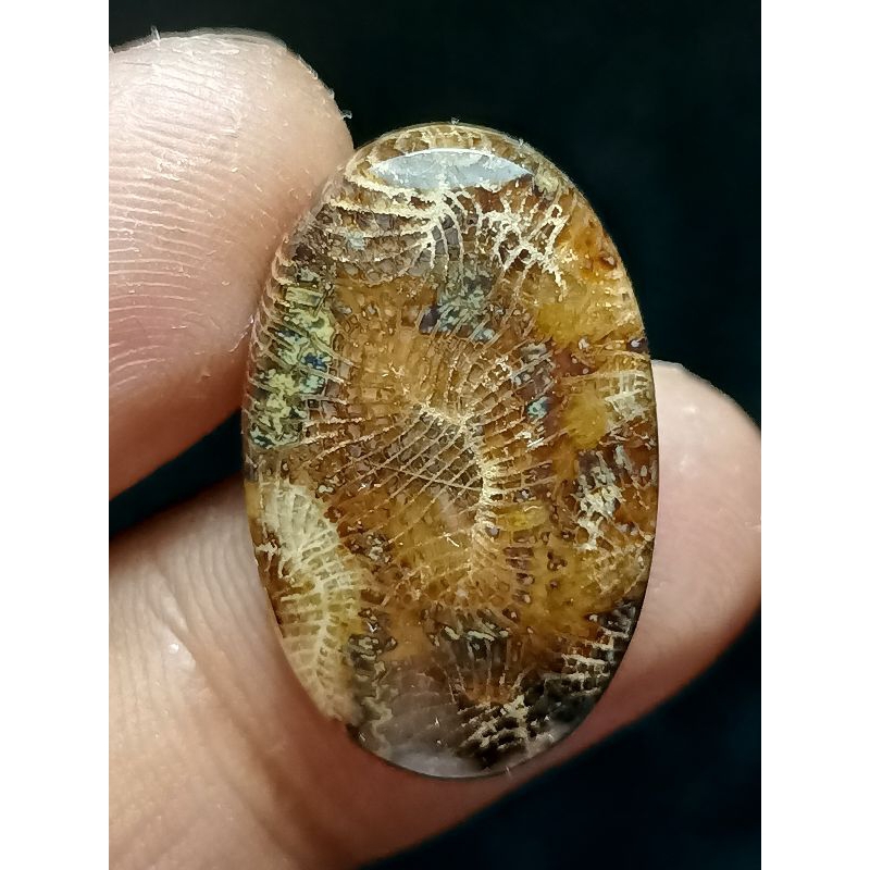 Jual Batu Posil Motip Lipan / Kelabang | Shopee Indonesia