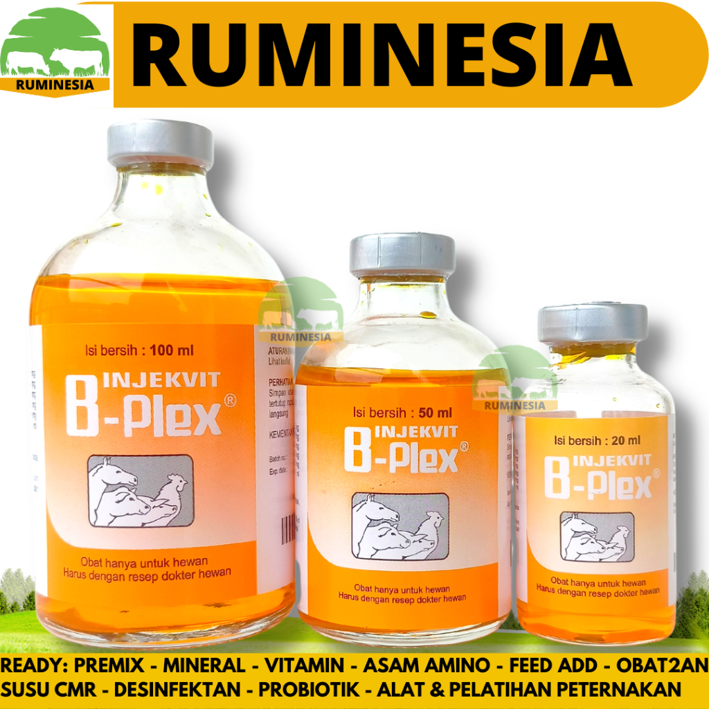 Jual INJEKVIT B PLEX 20ml 50ml dan 100ml - Vitamin B Complex B Kompleks ...